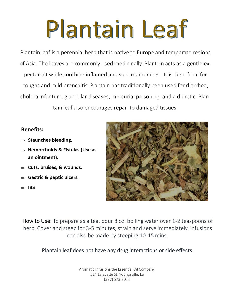 Plantain Leaf C/S OR – Aromatic Infusions