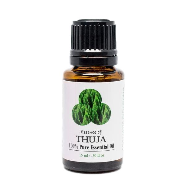 Thuja Essential Oil 15ml – Aromatic Infusions
